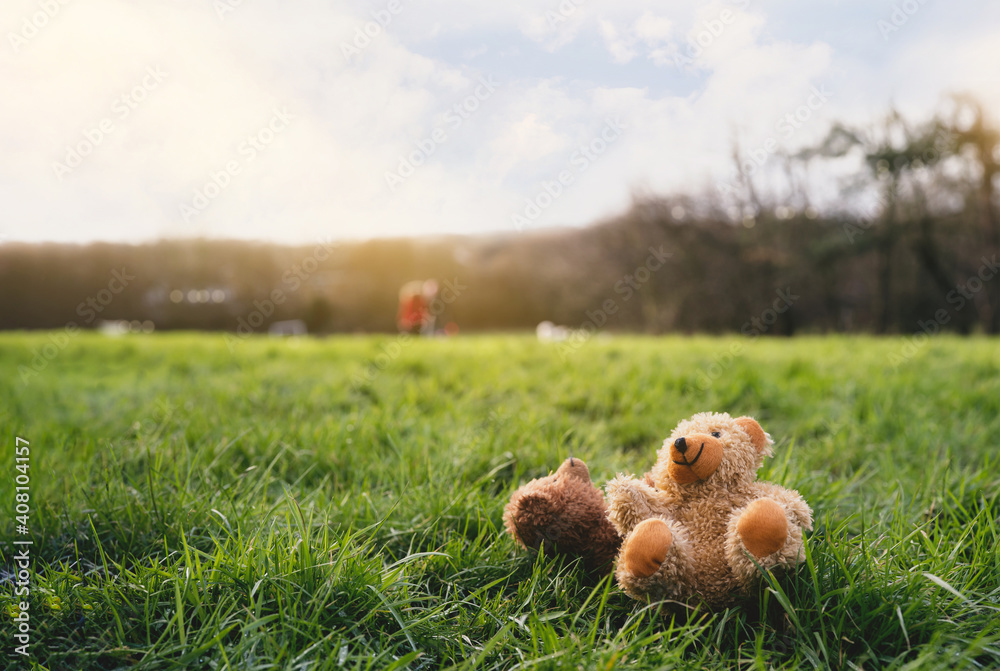 Lost Two Teddy bear with sad face lying on grass fields with blurry ...