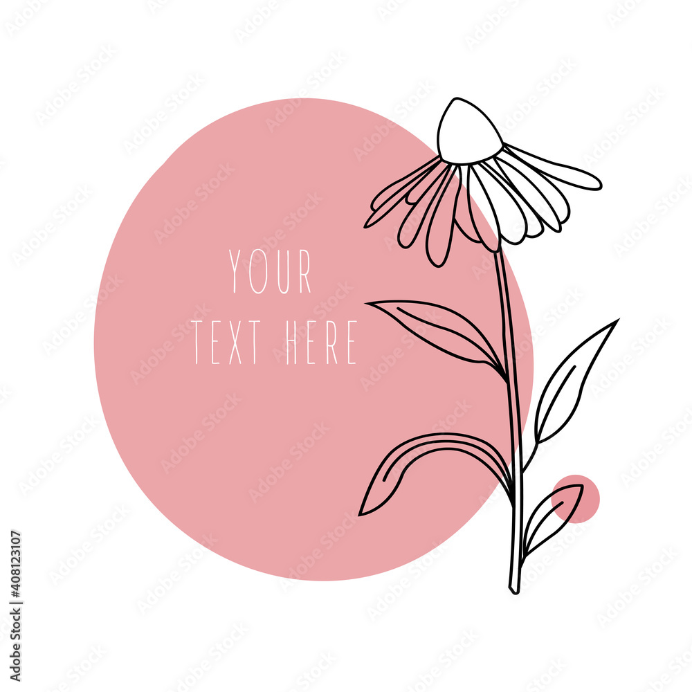 Abstract line art of echinacea flower.Echinacea contour drawing. Modern ...