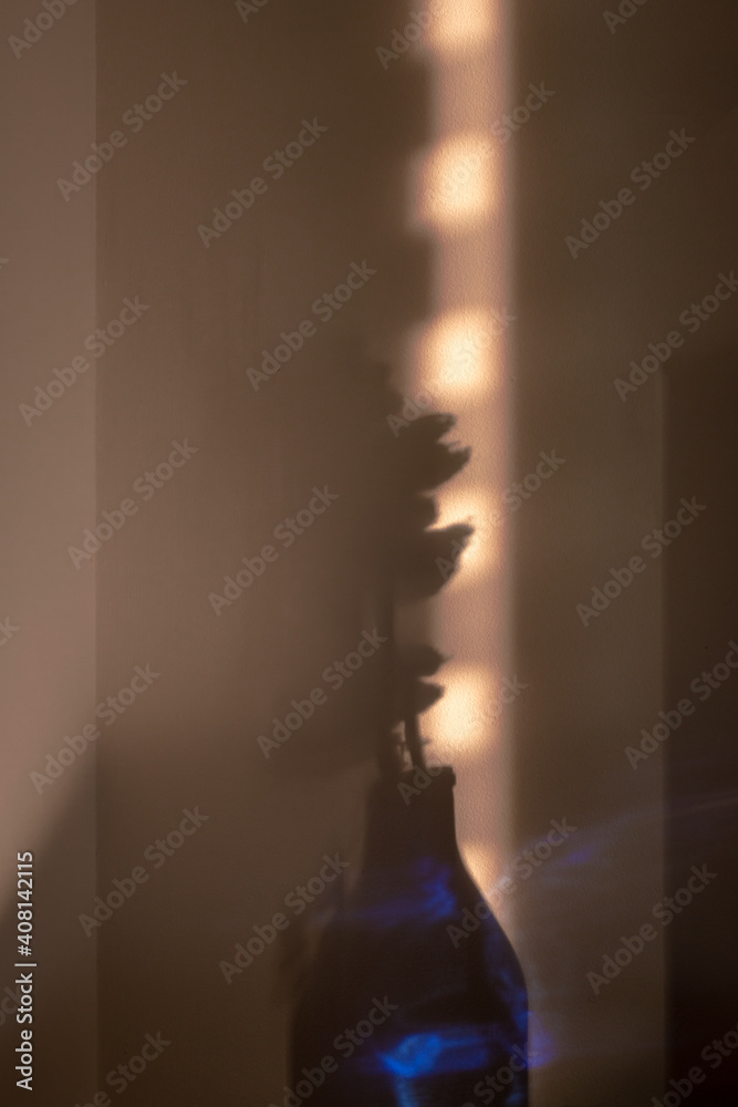Blurry shadows of blue glass bottle using as vase for flowers. Mystery ...
