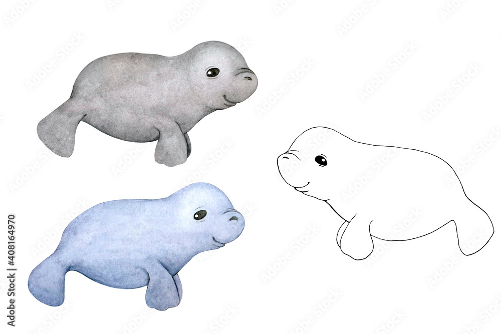 Cute Baby Manatee Drawing