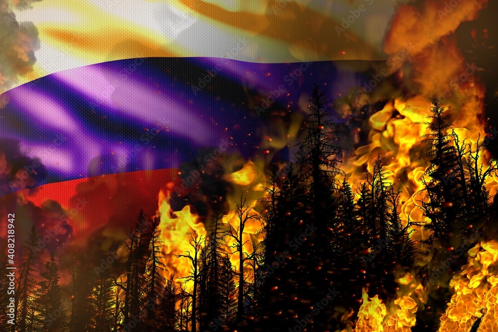Big forest fire fight concept, natural disaster - infernal fire in the ...