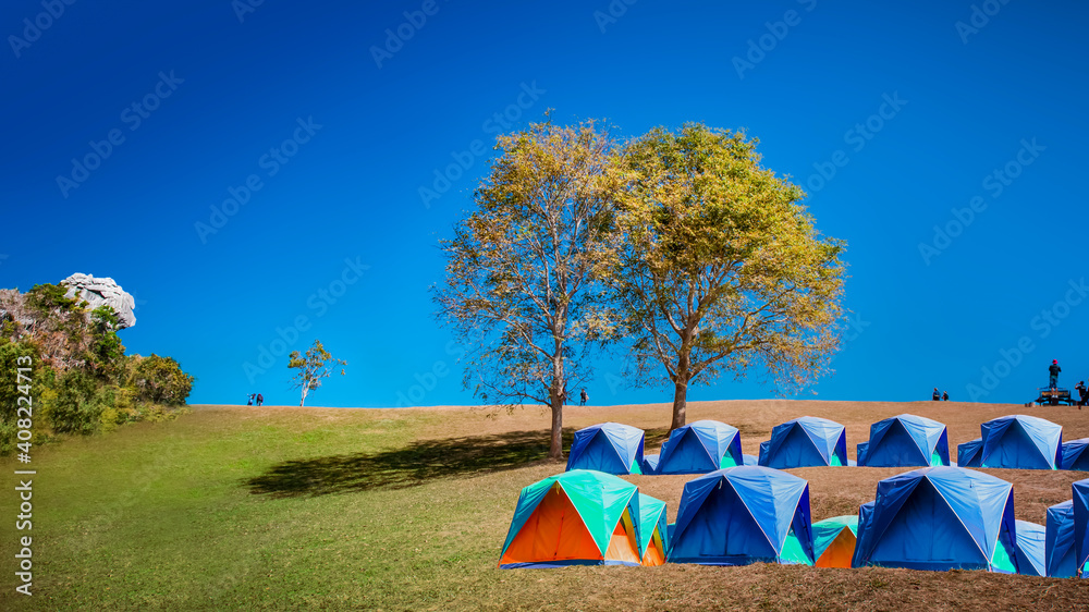 Camping grounds on dry grass hilltop with Love tree and blue sky at Doi ...