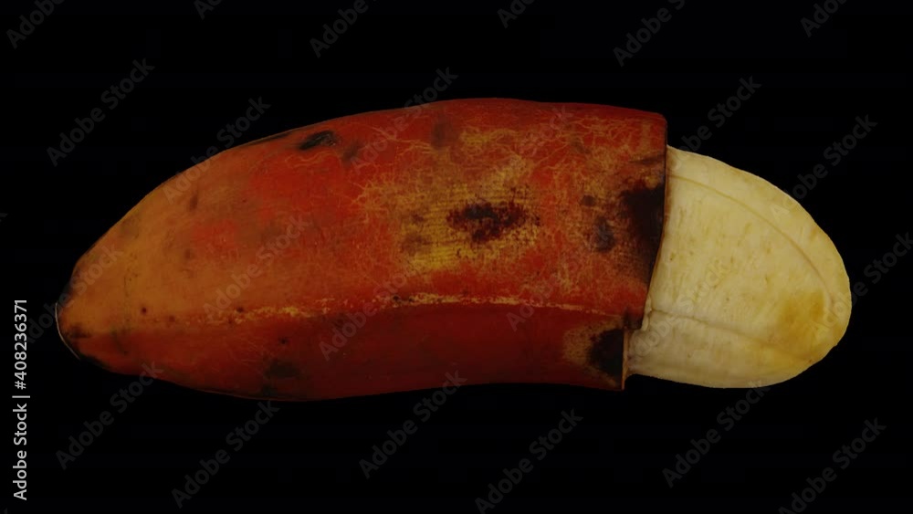 Realistic render of a rolling Red Banana (partially peeled) on ...