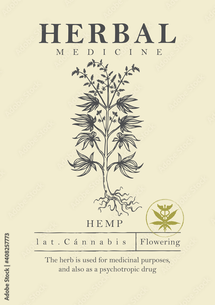 Botanical illustration of a hand-drawn hemp plant in retro style ...