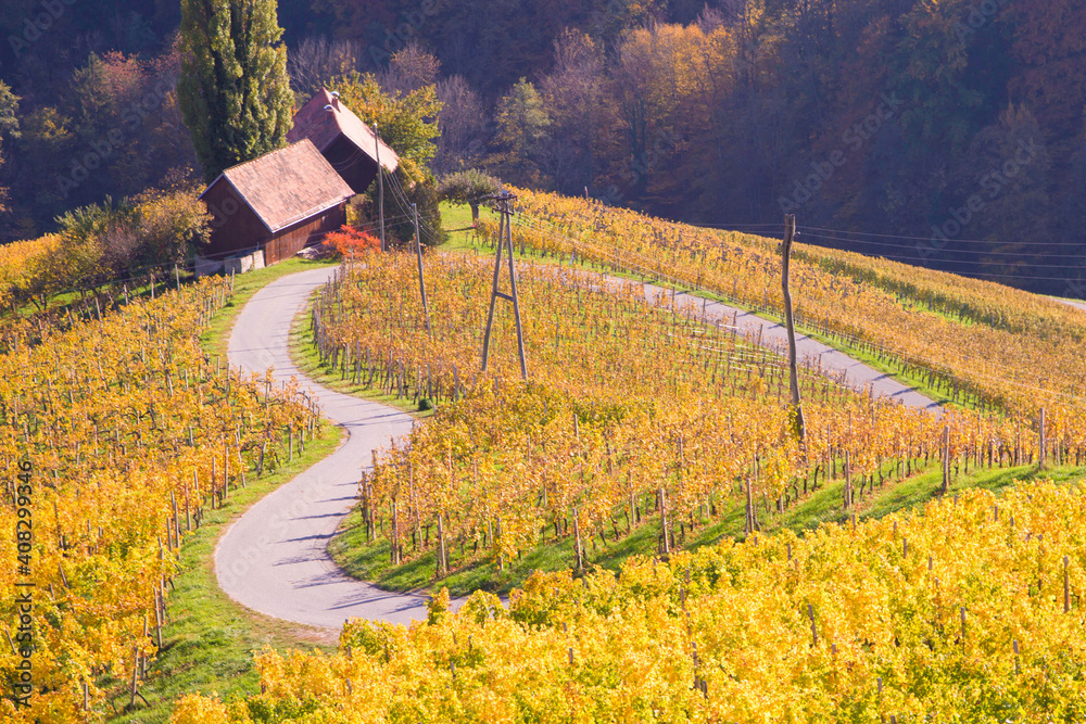 Steiermark Herz südsteirische Weinstraße Stock Photo | Adobe Stock