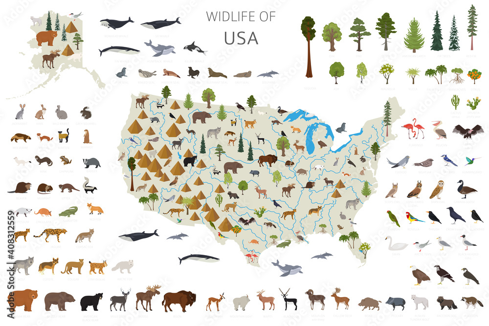 Flat design of USA wildlife. Animals, birds and plants constructor ...