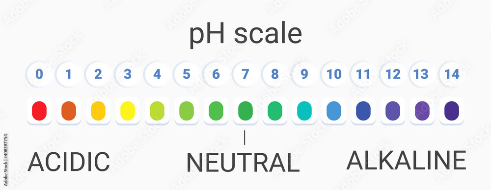 ph scale value. infographic acid-base balance. scale for chemical ...