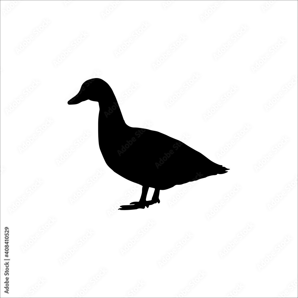 silhouette of a duck. bitmap illustration Stock Illustration | Adobe Stock