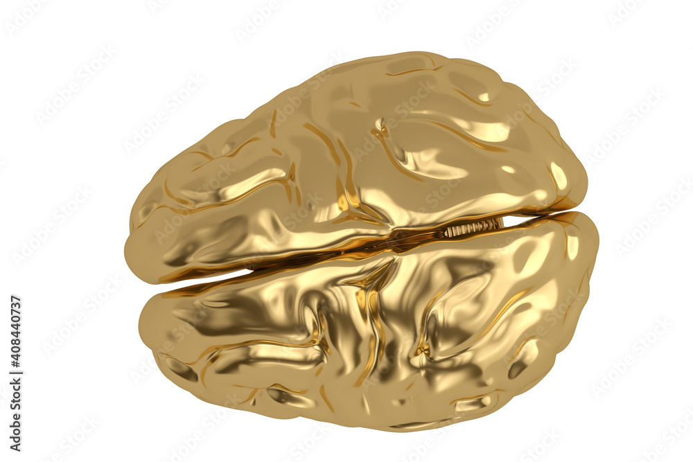 Gold brain isolated On White Background, 3D illustration. Stock ...