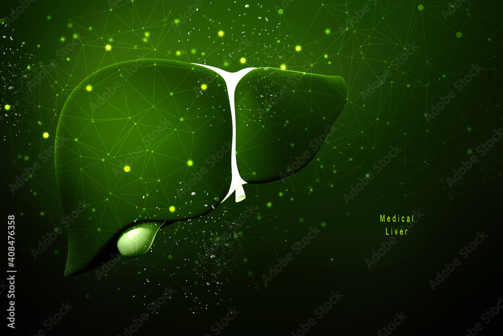 Realistic human liver 3d illustration Stock Illustration | Adobe Stock