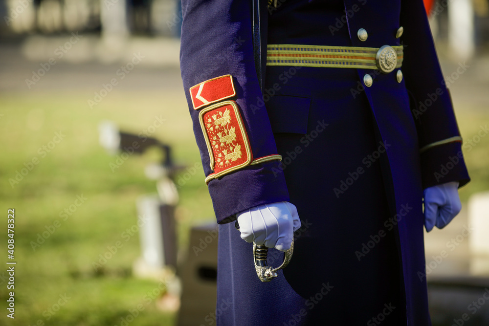 Details of the uniform of a Michael the Brave 30th Guards Brigade ...
