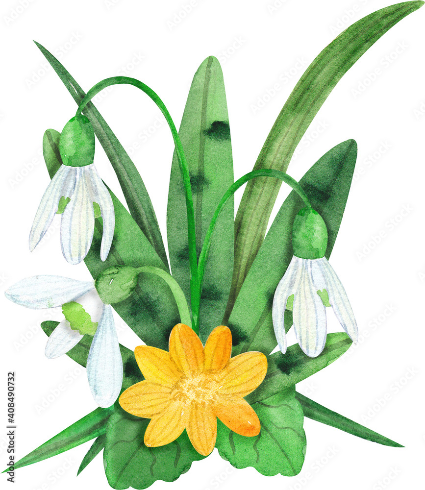 Watercolor set of spring flowers and leaves - snowdrops and erantis ...