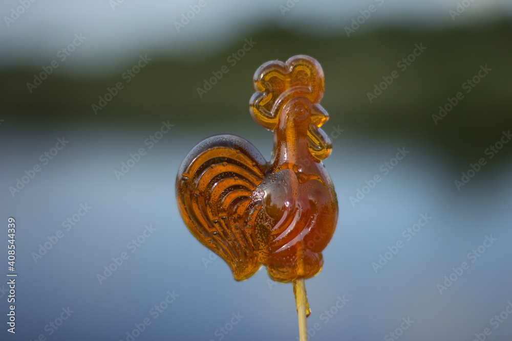 Lollipop in shape of rooster. Russian candies on nature background ...