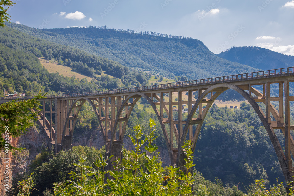Beautiful Durdevica arched Tara Bridge over green amazing Tara Canyon ...