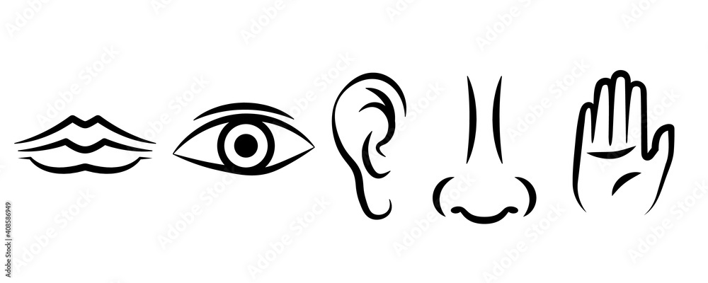 The Five Senses Clipart