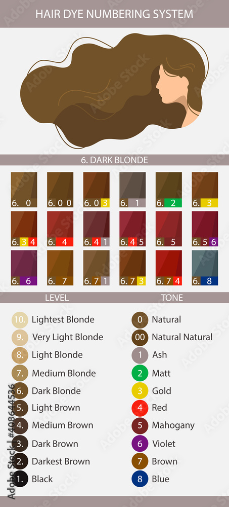 Stock vector palette with hair dye numbering system, levels, tones and ...