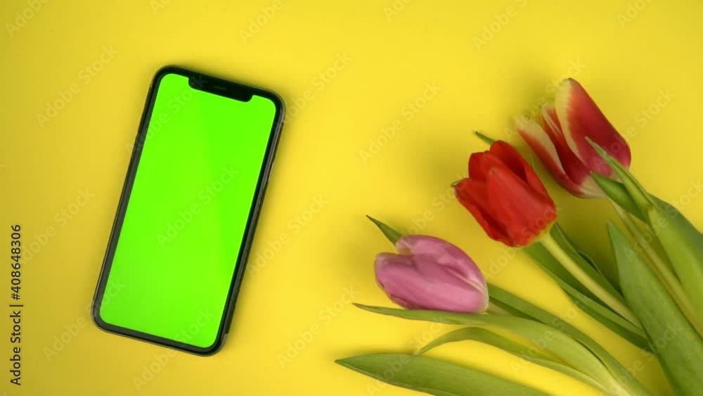 a phone with a green screen background. Yellow background with tulips ...