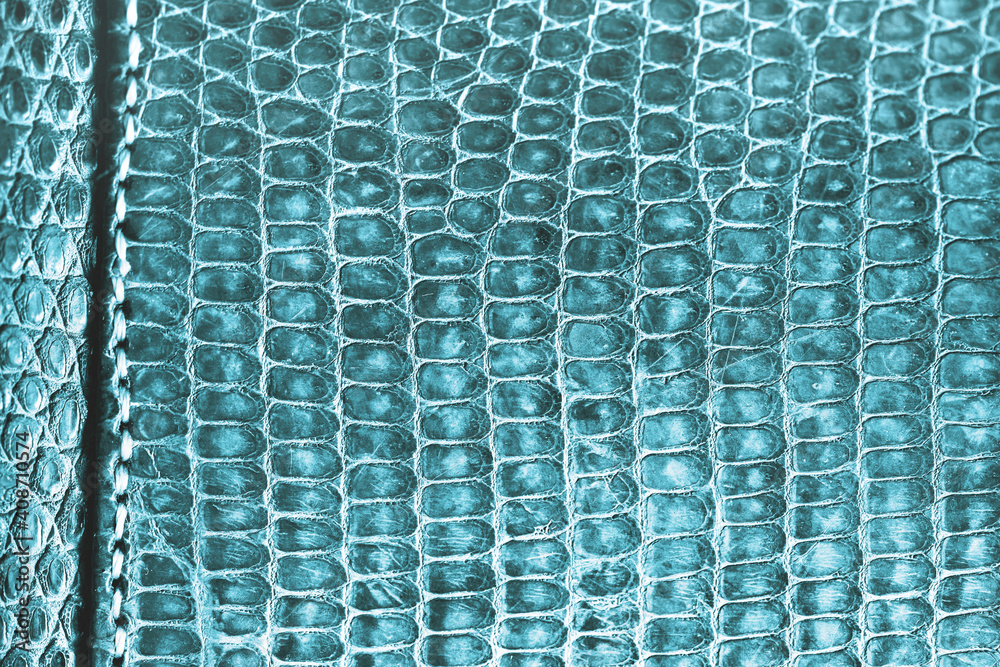 Foto de The texture of the natural skin of the African varan lizard ...