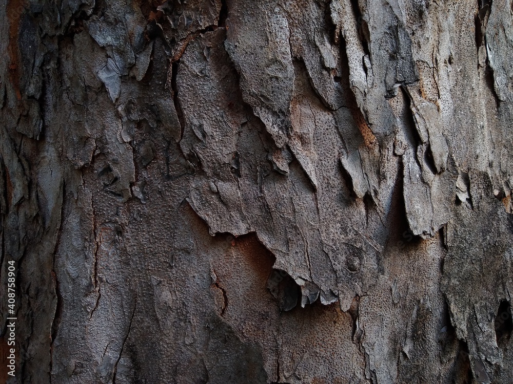 Hard Texture