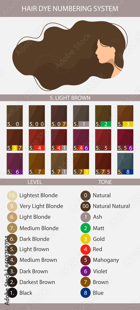 Stock vector palette with hair dye numbering system, levels, tones and ...