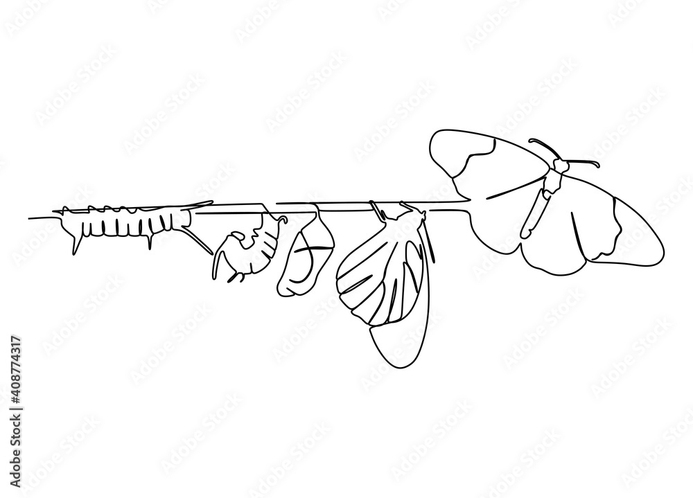 Butterfly metamorphosis phases on a tree trunk. Continuous one line ...