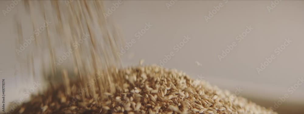 Stockvideo Close-up video of barley grains falling on a big pile. Food ...