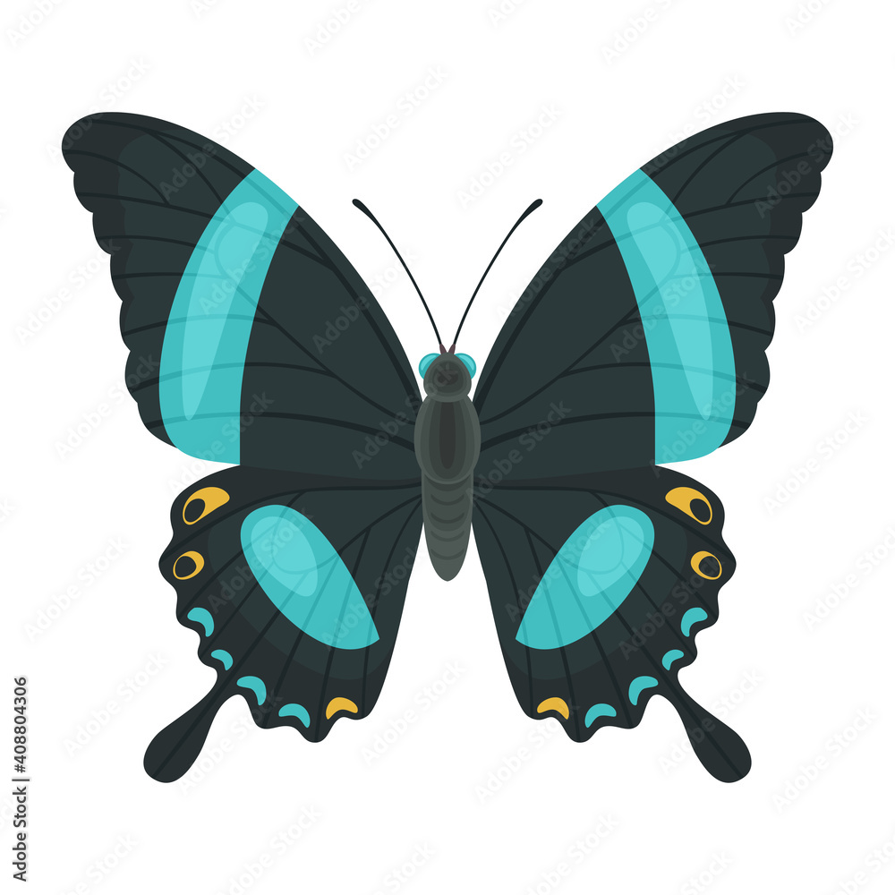Butterfly Papilio palinurus isolated on white background. Vector flat ...