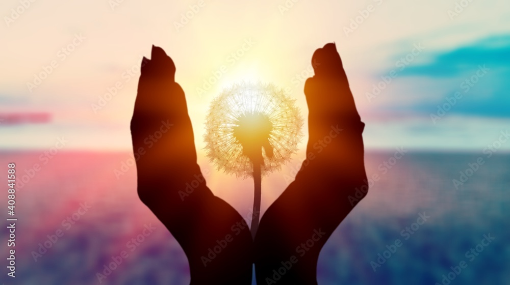 Mind. Stock Photo | Adobe Stock