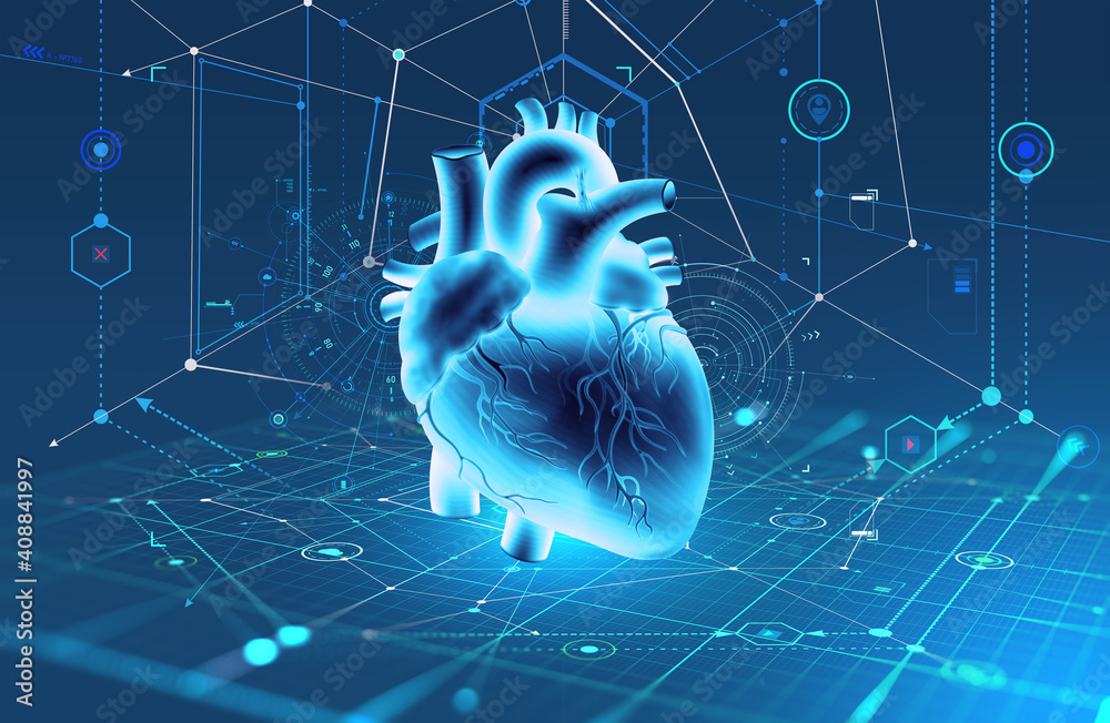 Digital model of human heart. Modern technologies in cardiology ...