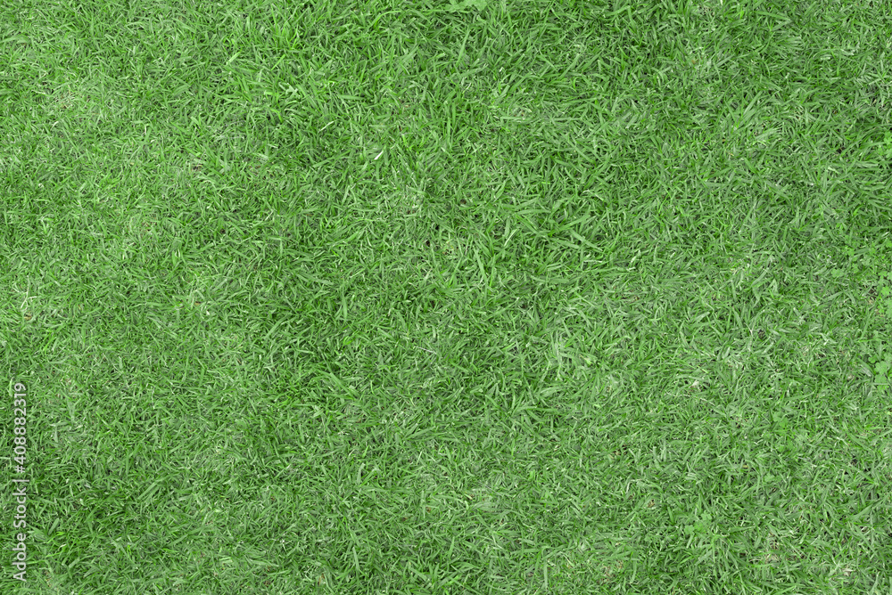 textura de césped verde, fondo verde, patrón de césped Stock-Foto ...