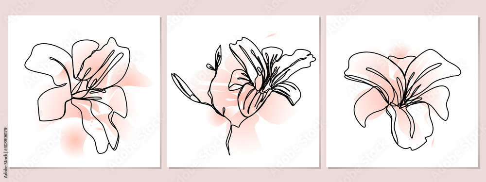 Continuous Line Drawing Flowers of Lilies Set for print, beauty, etc ...