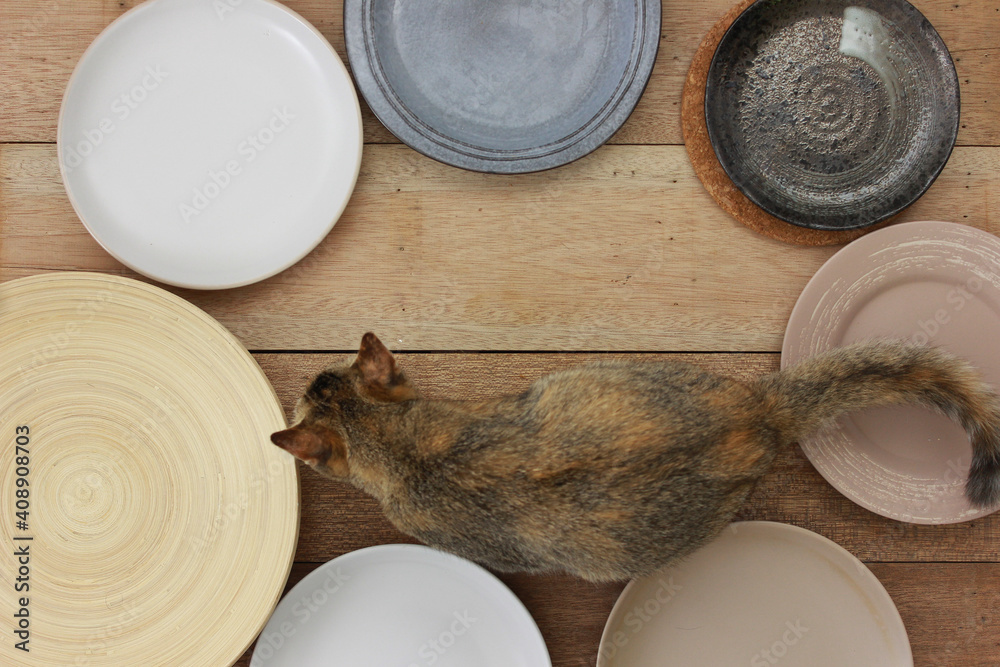 Cute and clingy cat pet disturb the dining table full of plates. Stock ...