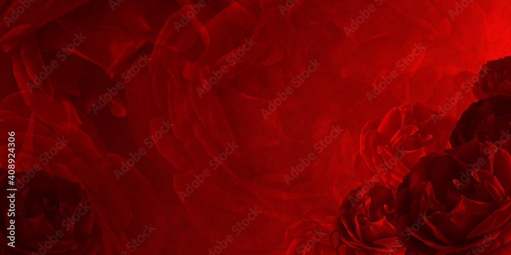 red roses and red background, wallpaper,name card, template, copy space ...