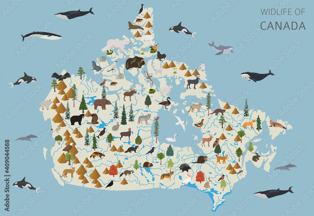 Flat design of Canada wildlife. Animals, birds and plants constructor ...
