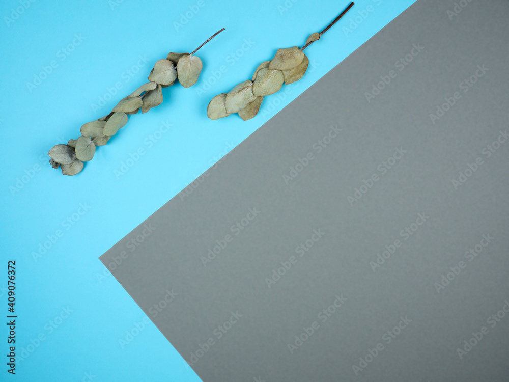 Rectangular pattern design of 2 two twigs eucalyptus,leaves,duo colored ...