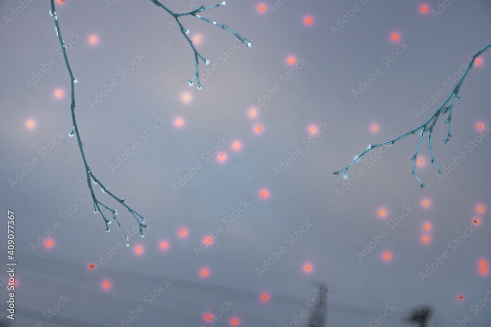 Snowflakes falling from the sky; Christmas forest with multi-colored ...