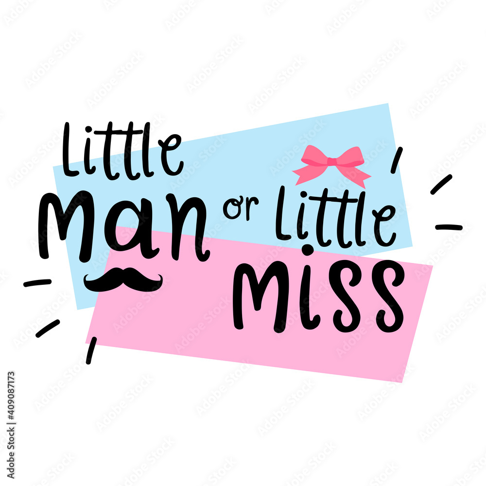 Little Man or Little Miss? Gender reveal party card, banner vector ...