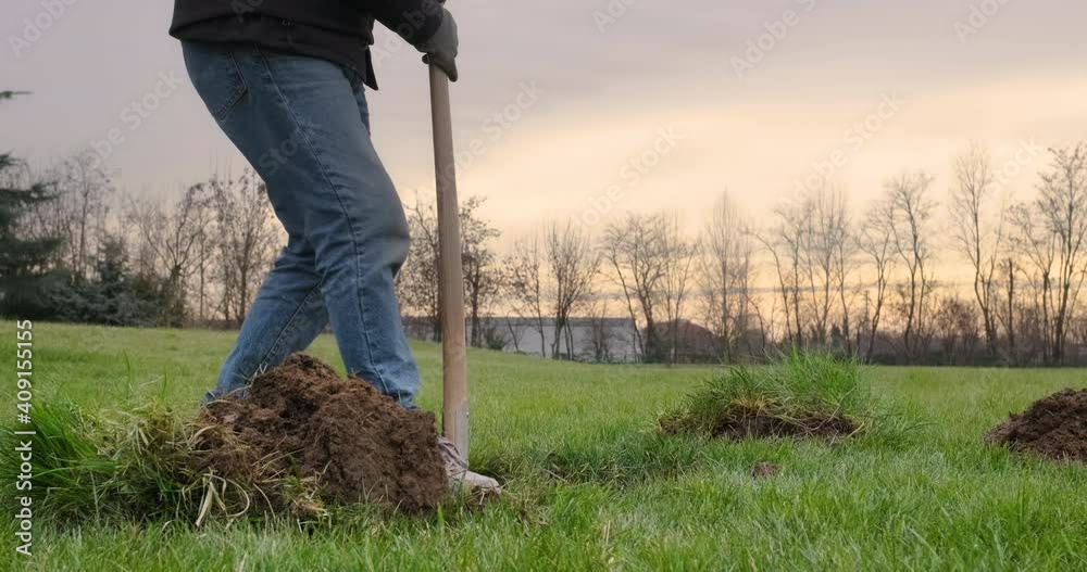 Man Wearing Jeans With A Shovel Digging Hole In The Ground Of A Garden ...