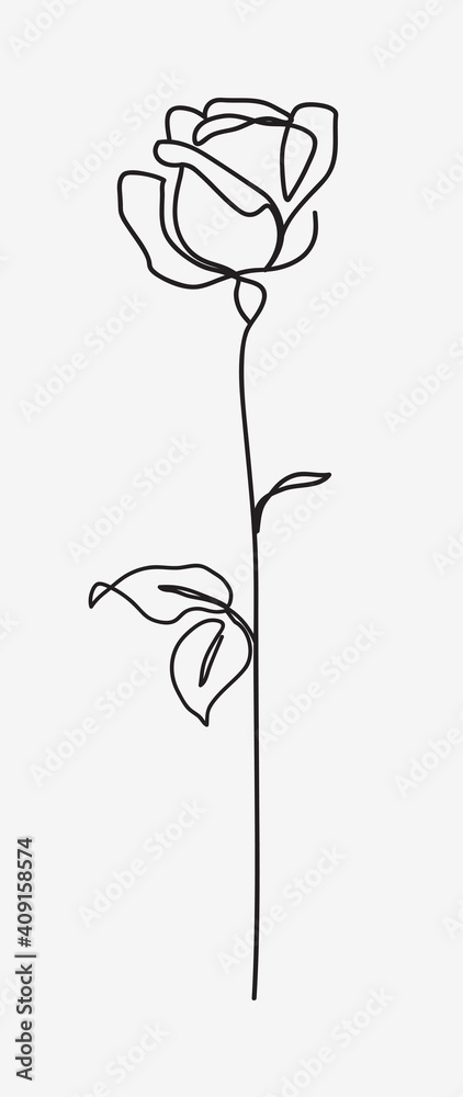 One line drawing. Garden rose with long stem and leaves. Hand drawn ...