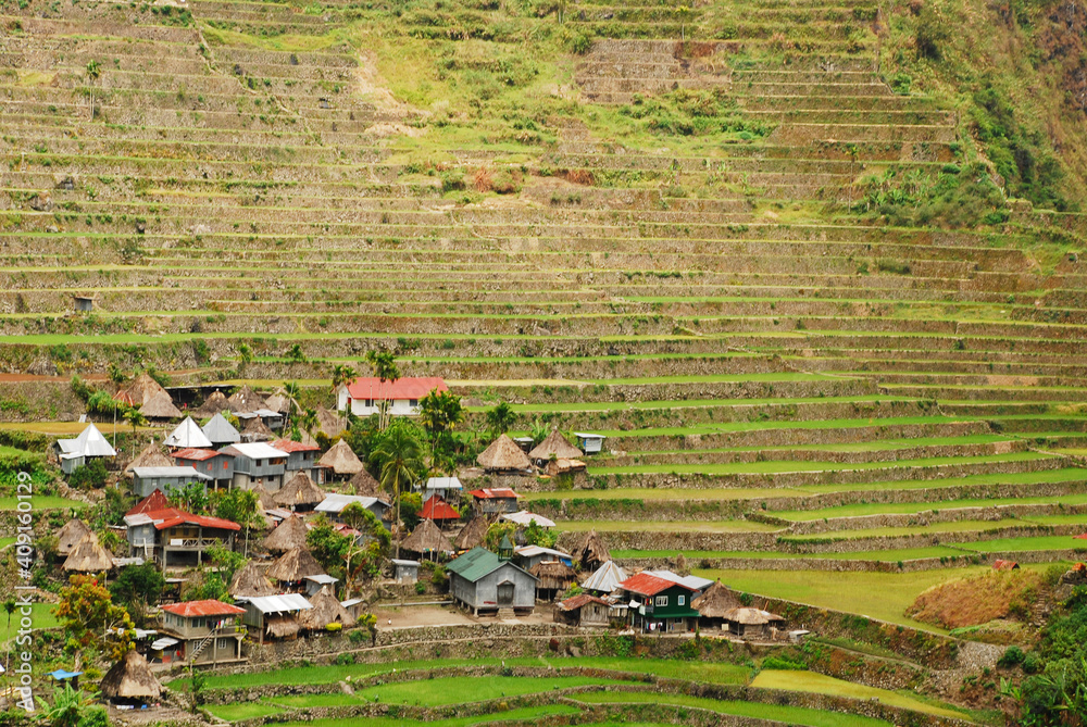 Indigenous upland community living in rice terraces in Batad, Ifugao ...