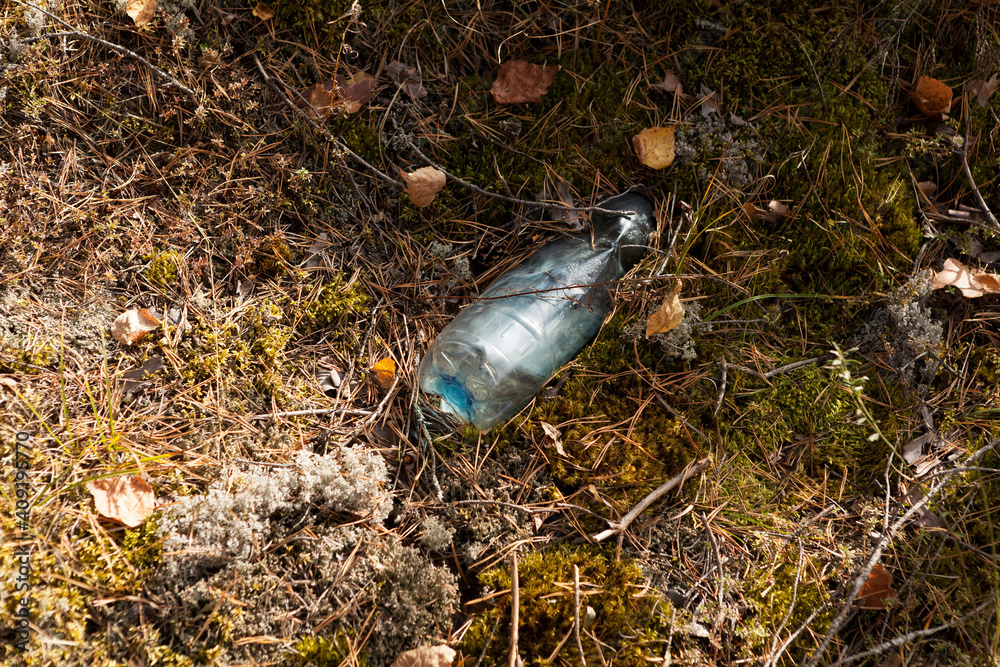 Old disposable plastic bottle on edge of forest. Environmental ...