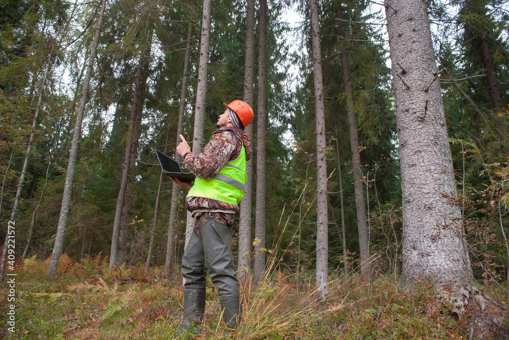 Forest ecologist works in the forest with a computer. Digital ...