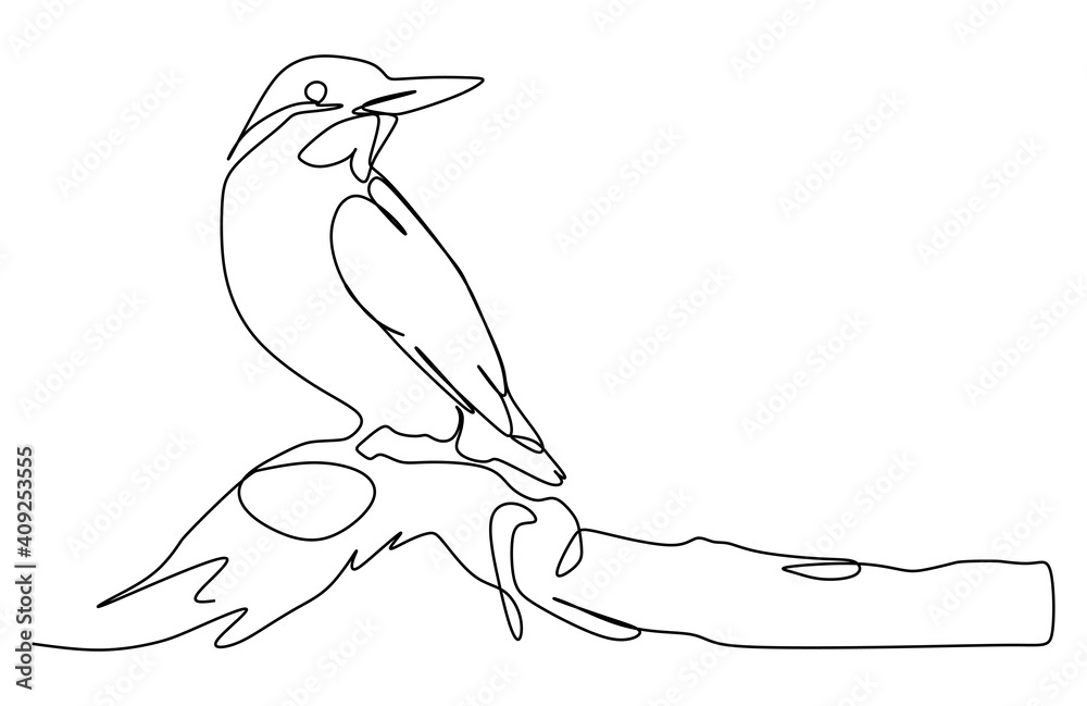 kingfisher bird. Continuous one line drawing Stock Vector | Adobe Stock