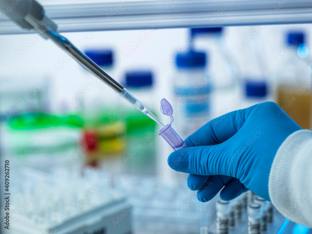 DNA, Scientist pipetting a DNA sample into a vial ready for testing ...