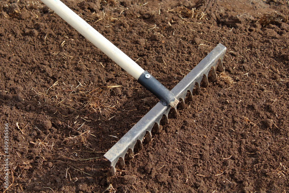 Rake on the ground. Close-up. Background. Texture. Stock Photo | Adobe ...