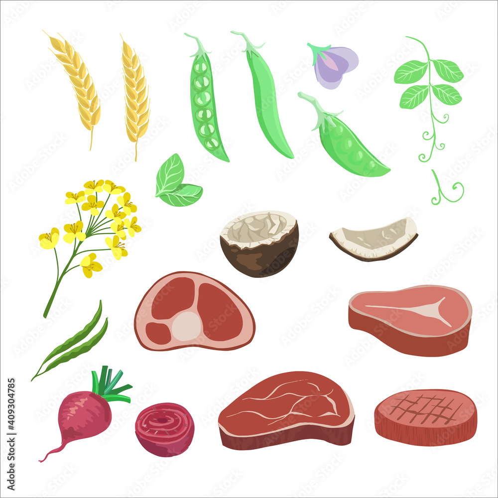 Vegan sources of protein. Plant based meat ngredients in cartoon style ...