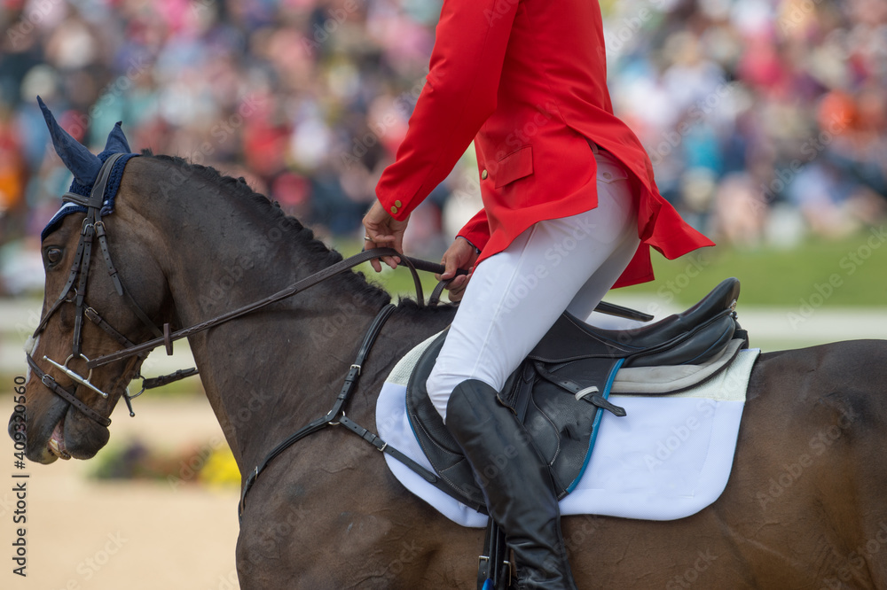 horseback rider riding in show jumping competition close cropped to ...