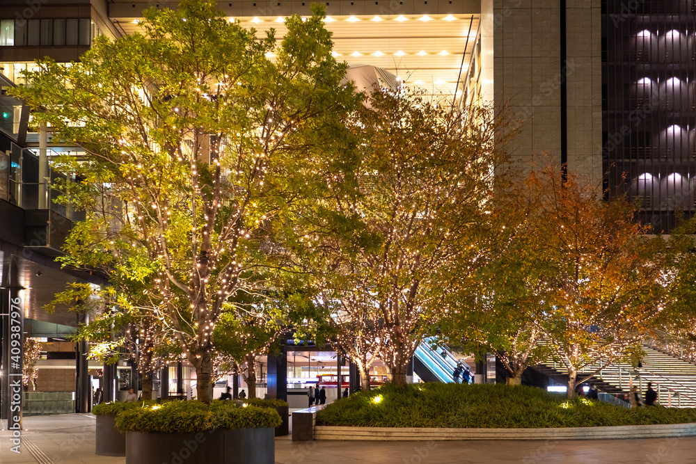 Japan. Evening illumination in the Japanese city. Trees with garlands ...