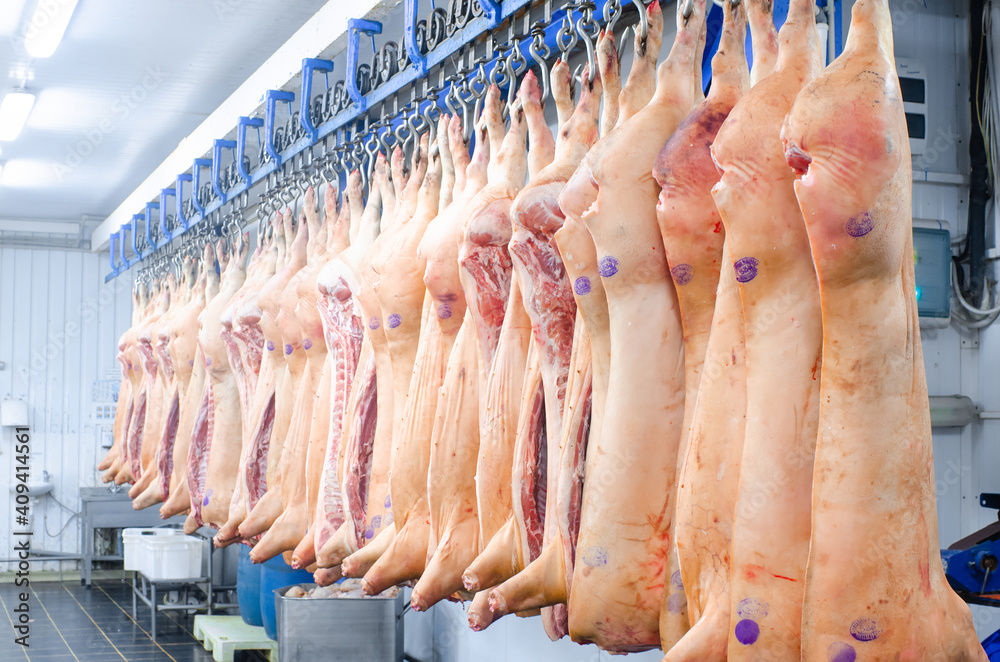 The meat factory. Pork hanging on hooks. Pork carcasses in the workshop ...