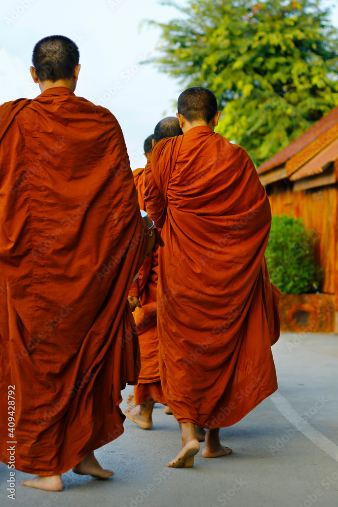 monks dressing orange robe during reception of alms, around buddhist ...
